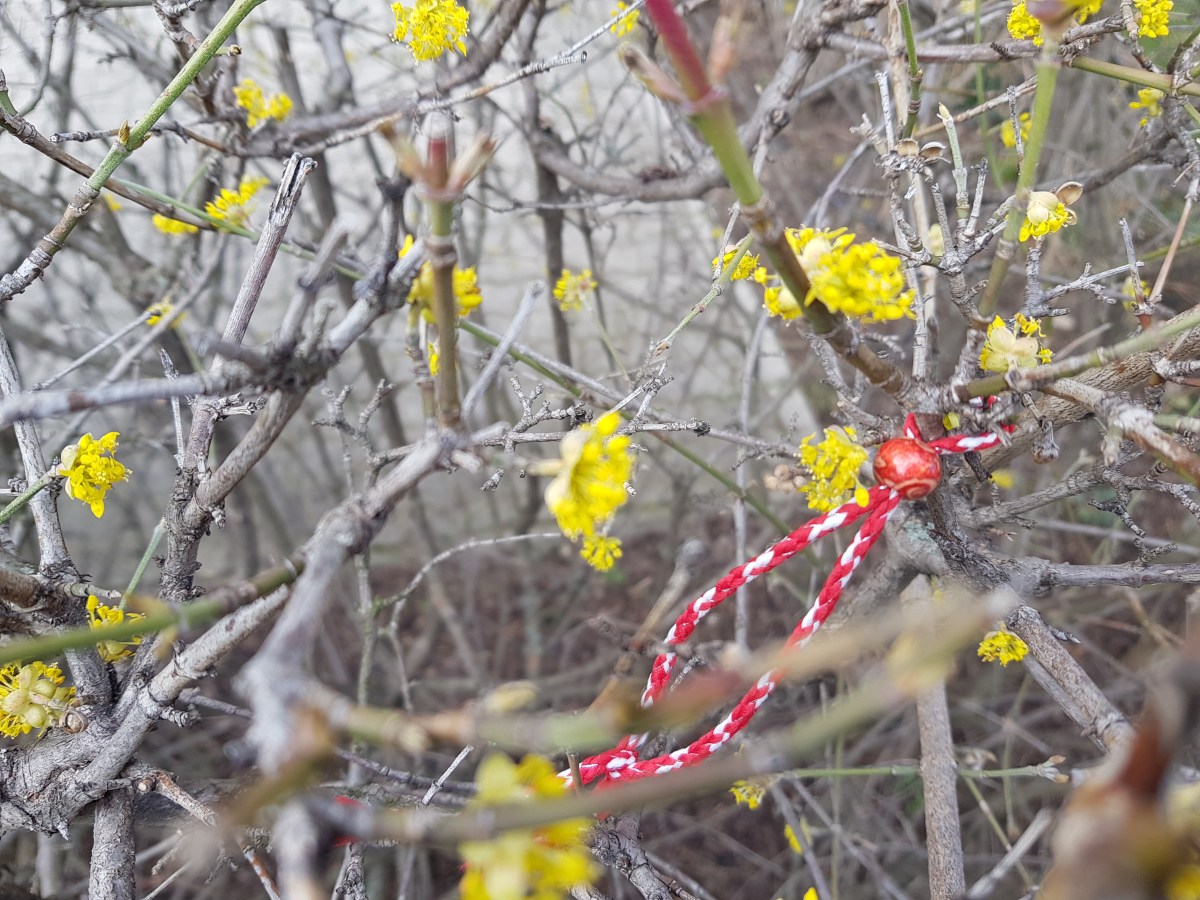 Zeit der Martenizi – Wandern im Wienerwald