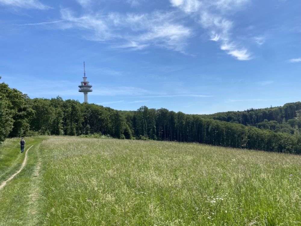 Lokal-Nostalgie – Wandern im Wienerwald